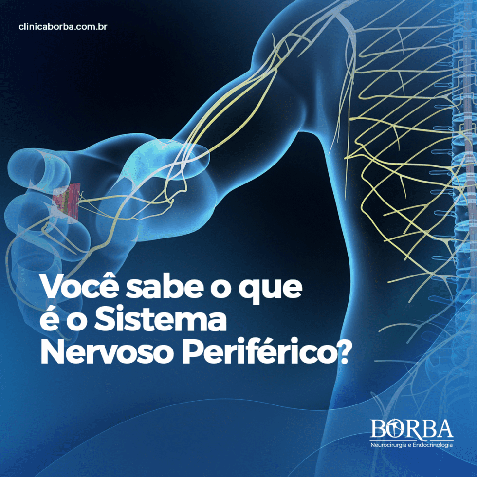 Você sabe o que é o Sistema Nervoso Periférico? | Clínica Borba